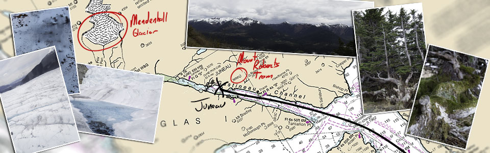 Mount Roberts Trails, Juneau Alaska • Points in Focus Photography