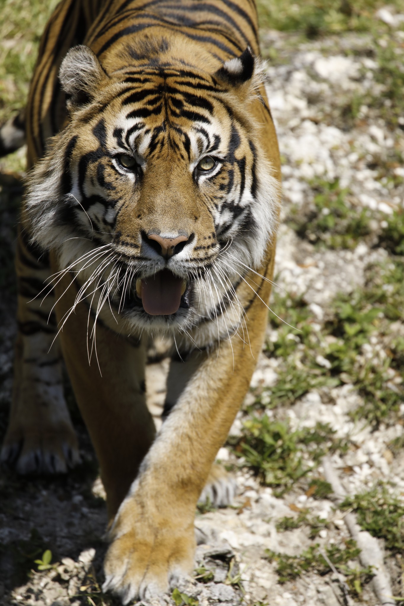 Canon Picture Style Sample and Test Images • Points in Focus Photography